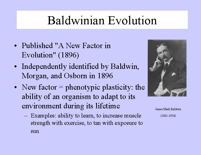 Learning and Evolution Lessons from the BaldwinEffect Georg