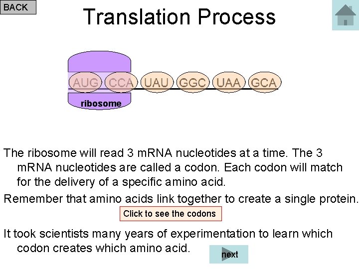 Translation Tutorial Start from the beginning Transcription review
