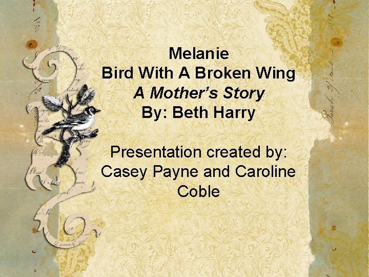 Melanie Bird With A Broken Wing A Mothers