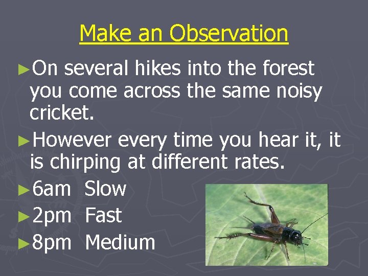 Scientific Process Basic Steps The Cricket Experiment Definition