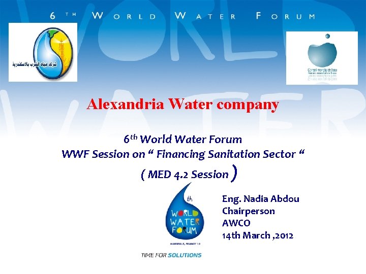 Alexandria Water company 6 th World Water Forum