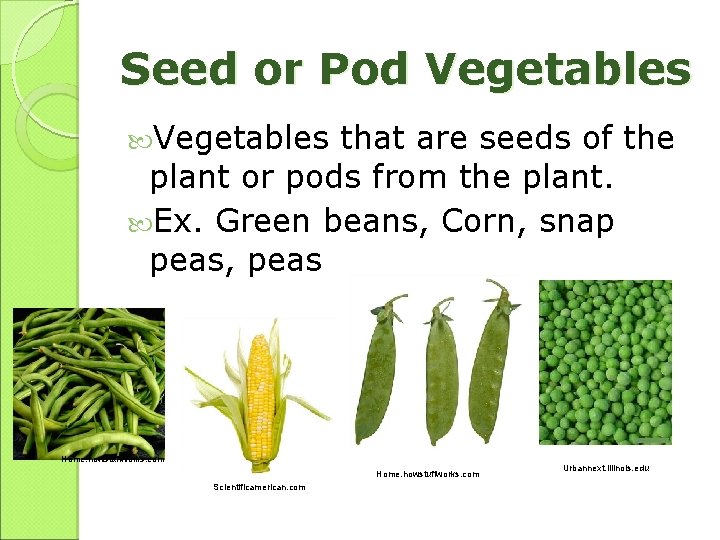 Culinary Arts Vegetables curiousphotos blogspot com 1 Objectives