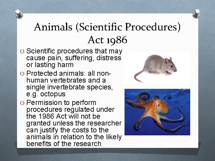 The use of nonhuman animals in psychological experiments