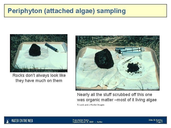 Module 4 Stream Ecology Laboratory Measuring Periphyton Biomass