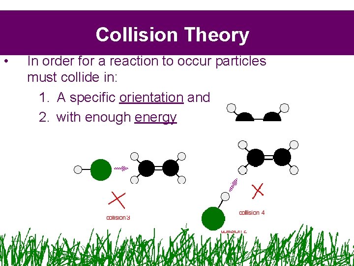 Chapter 17 Reaction Kinetics 17 1 The Reaction