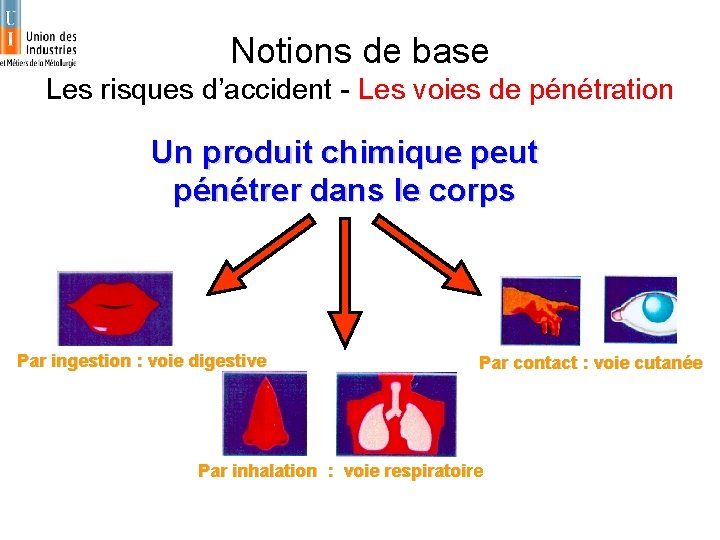 La prvention du risque chimique Gesim Notions de