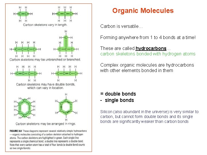 Carbon Based Life is based upon 20 different