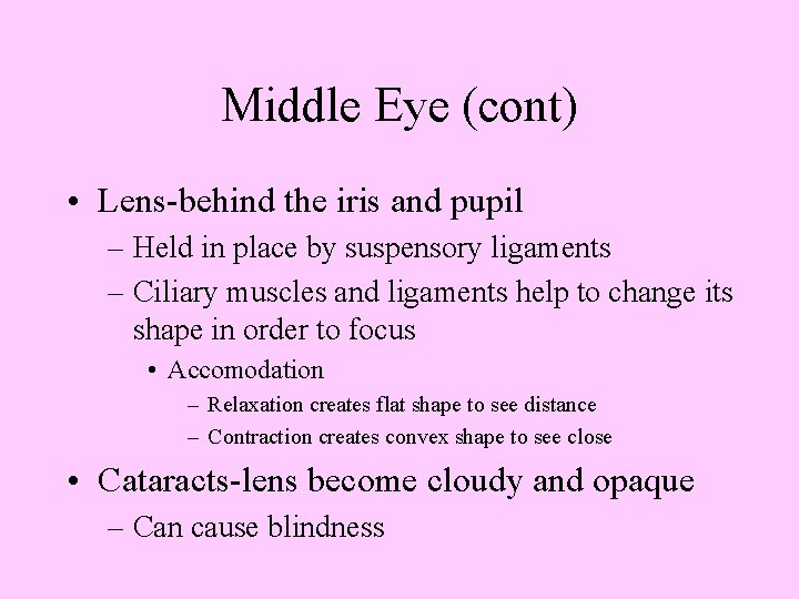 Eye Notes Parts of sight sense Eyes Accessory
