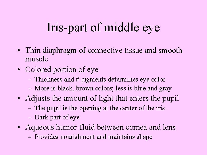 Eye Notes Parts of sight sense Eyes Accessory
