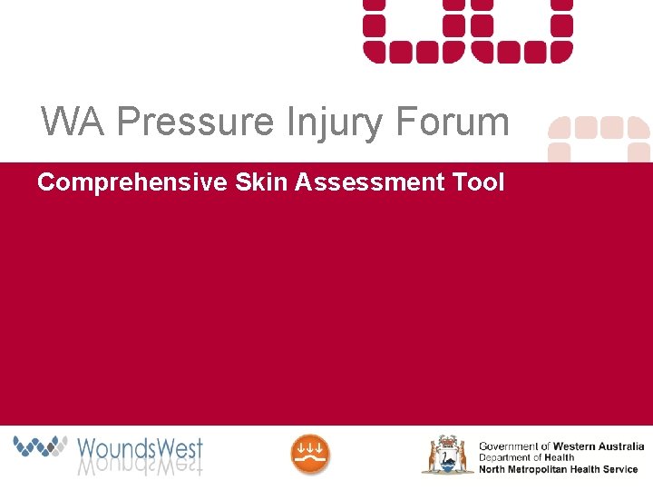 WA Pressure Injury Forum Comprehensive Skin Assessment Tool