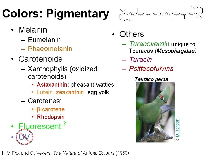 Literature Review Avian Materials and Structures Cornified and