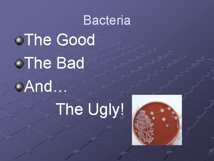 Bacteria The Good The Bad And The Ugly
