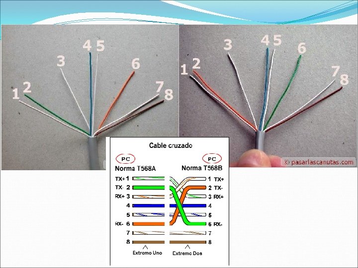 Cable de Par Trenzado Tipos de conexiones Los