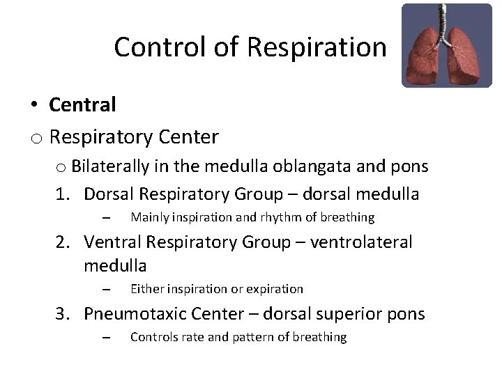 Control of Respiration Dr Megangela Christi Amores Control