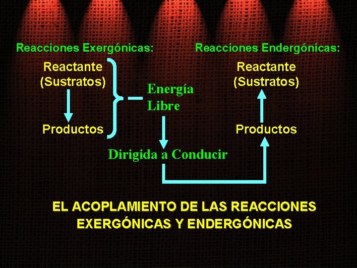 BIOQUMICA DEL EJERCICIO Fuentes de Energa Preparado por