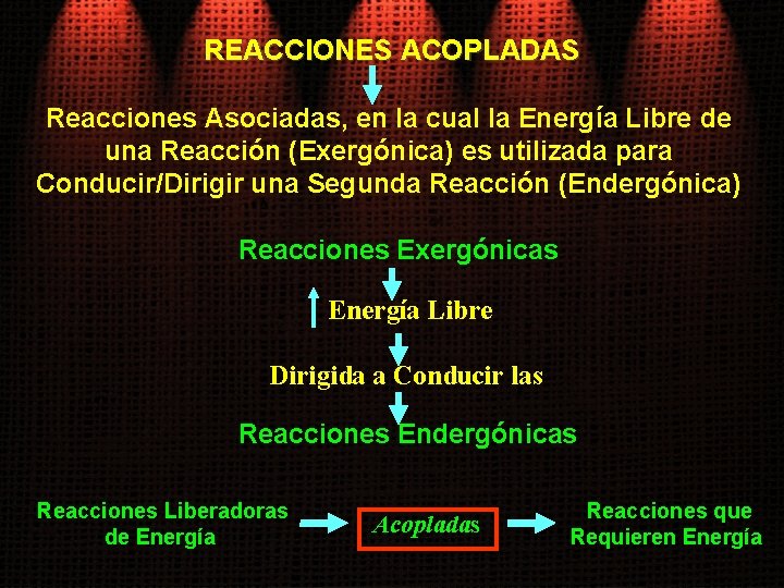 BIOQUMICA DEL EJERCICIO Fuentes de Energa Preparado por