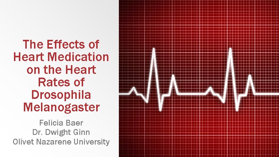 The Effects of Heart Medication on the Heart
