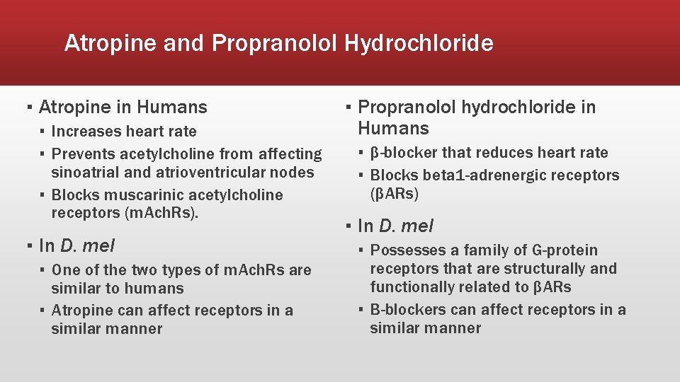 The Effects of Heart Medication on the Heart