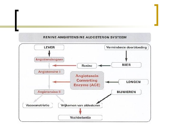 RAAS Renine Angiotensine Aldosteron systeem Technische handleiding Fortecor