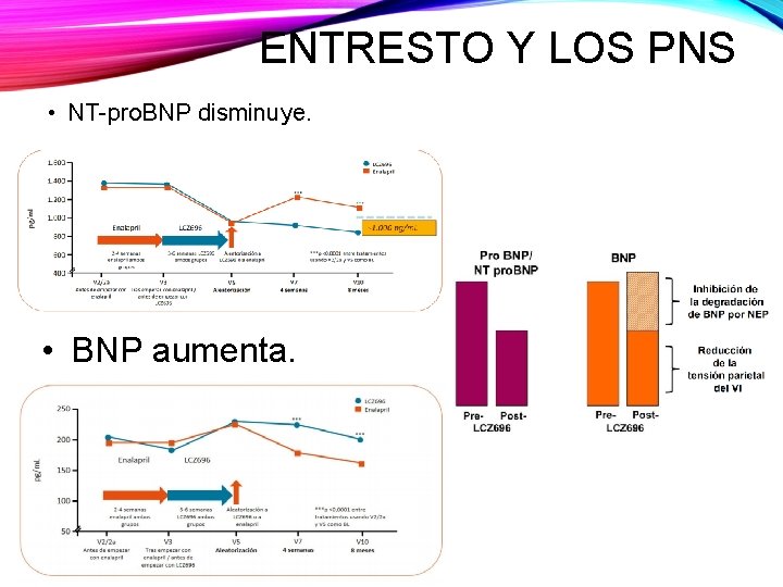 ACTUALIZACIN DE LOS PPTIDOS NATRIURTICOS EN INSUFICIENCIA CARDACA