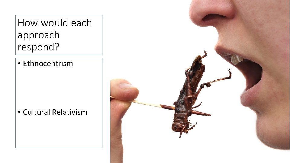 Issues and Debates Culture Bias in Psychological Research