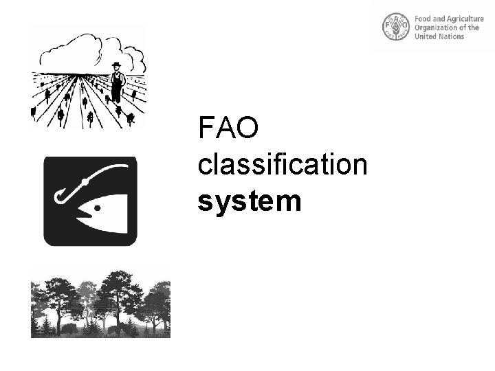 Statistical Classifications in FAO Statistical System Valentina ...