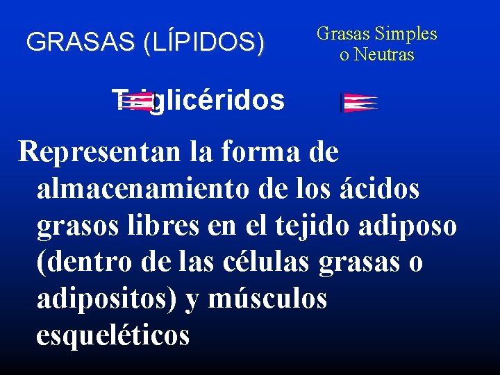 LAS GRASAS LPIDOS O ESTERES Preparado Por Prof