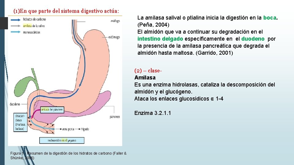 UNIVERSIDAD AUTNOMA DE CHIAPAS FACULTAD DE CIENCIAS QUIMICAS