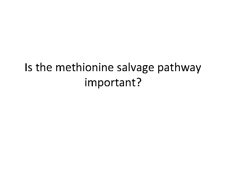 Targeting the methionine salvage pathway as a metabolic
