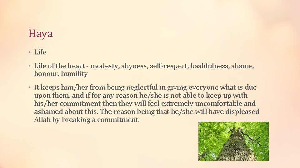 Internal Modesty Hayaa Subtitle Quick Quiz 1 What