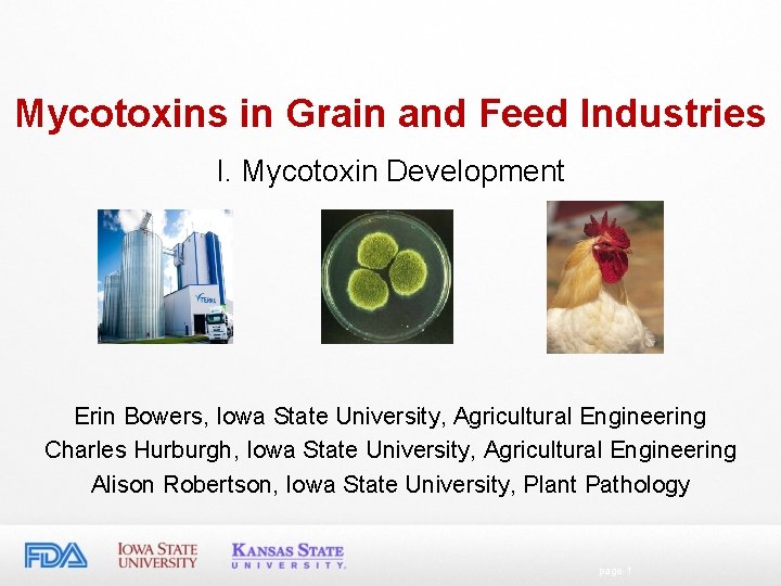 Mycotoxins in Grain and Feed Industries I Mycotoxin