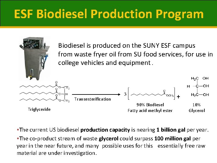 Use of Biodiesel Waste Glycerol in the Bacterial
