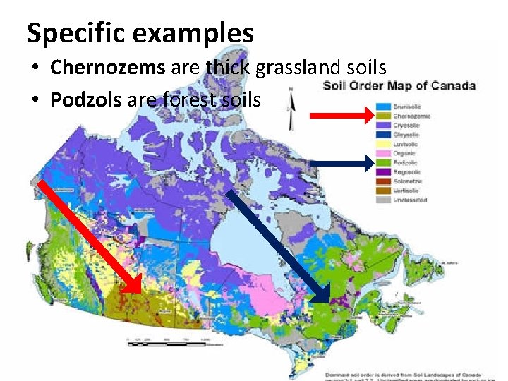 Soils of Canada C The deepest layer where