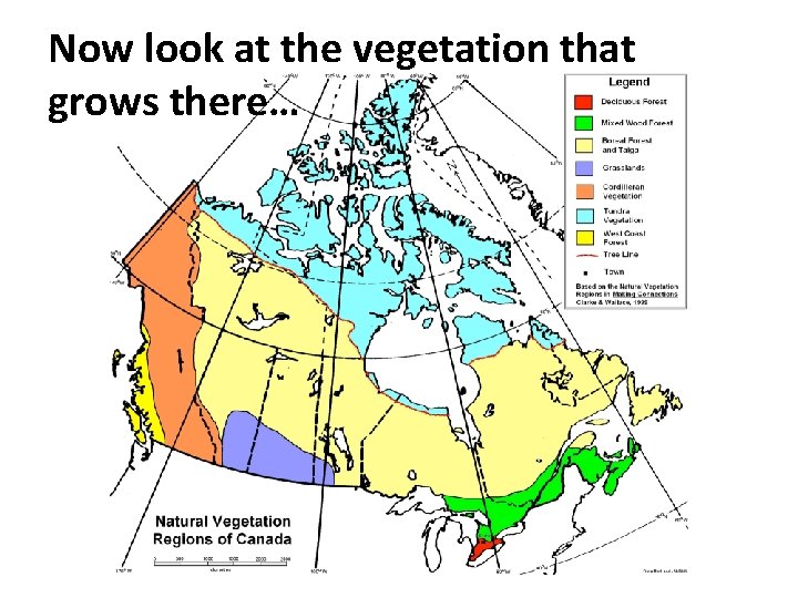 Soils of Canada C The deepest layer where