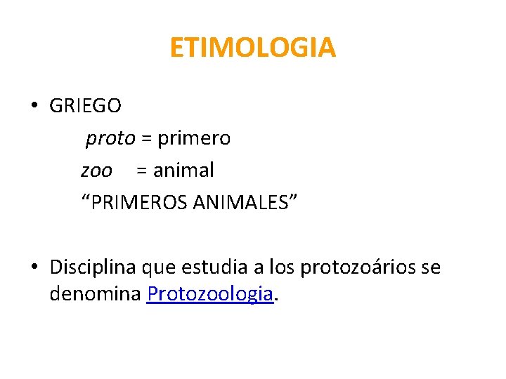 ETIMOLOGIA GRIEGO proto primero zoo animal PRIMEROS ANIMALES