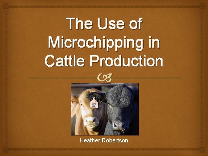The Use of Microchipping in Cattle Production Heather