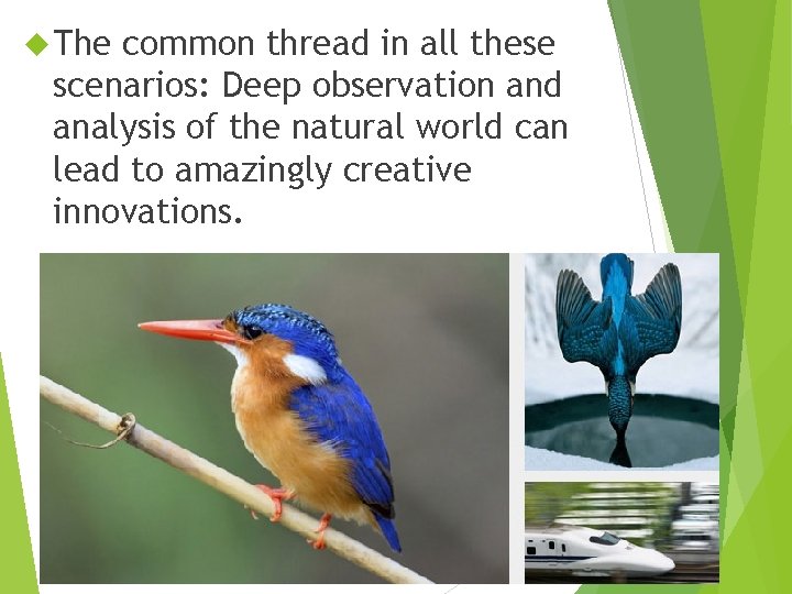Biomimicry Dr Collette Foster What is biomimicry Biomimicry