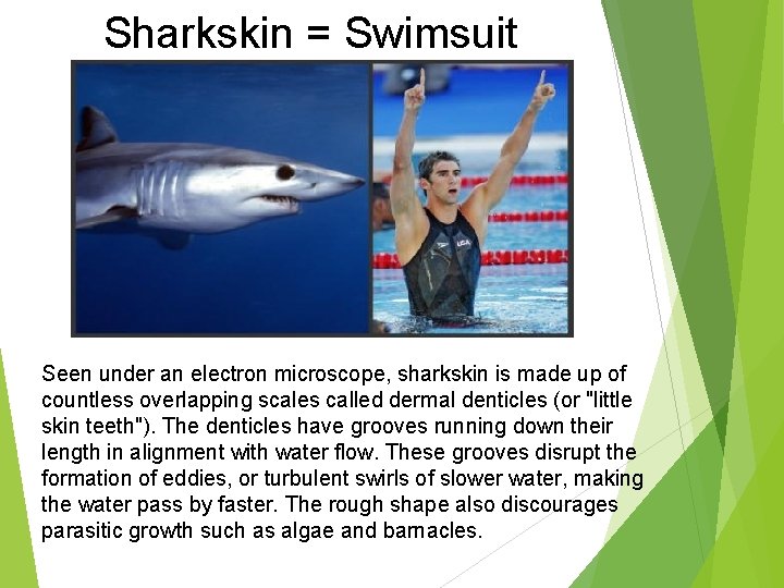 Biomimicry Dr Collette Foster What is biomimicry Biomimicry