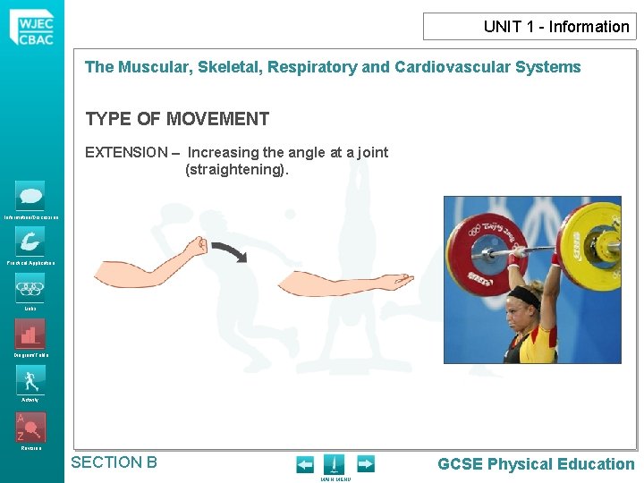 UNIT 1 Information The Muscular Skeletal Respiratory and