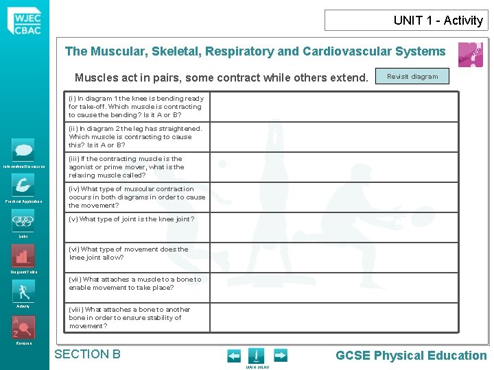 UNIT 1 Information The Muscular Skeletal Respiratory and