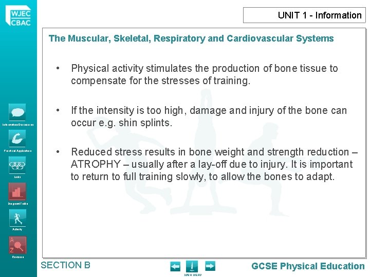 UNIT 1 Information The Muscular Skeletal Respiratory and