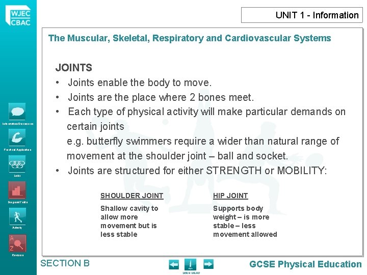UNIT 1 Information The Muscular Skeletal Respiratory and