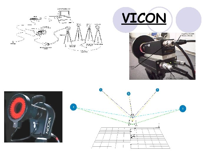 BIOMECHANICS Motion Capture The mean values of max