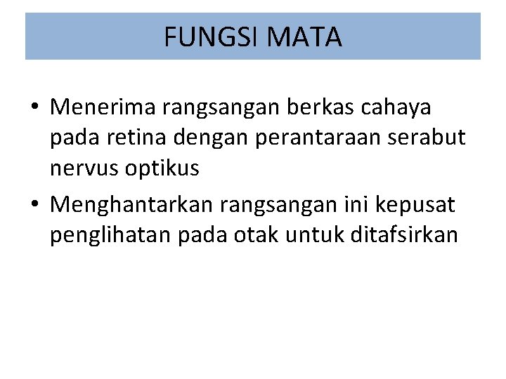 ANATOMI FISIOLOGI S 1 KEPERAWATAN STIKES YOGYAKARTA ANATOMI