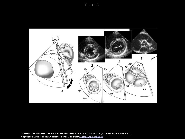 Guidelines and Standards for Performance of a Pediatric