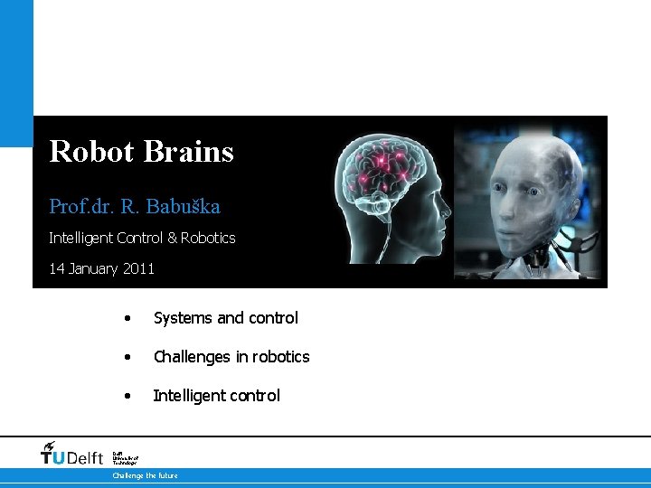 Robot Brains Prof dr R Babuka Intelligent Control