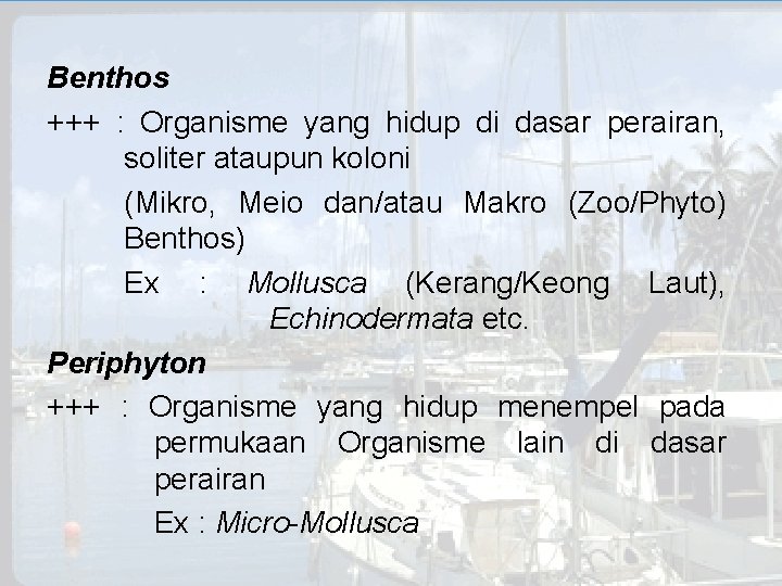 BIOLOGI LAUT LINGKUNGAN LAUT Marine biology is the