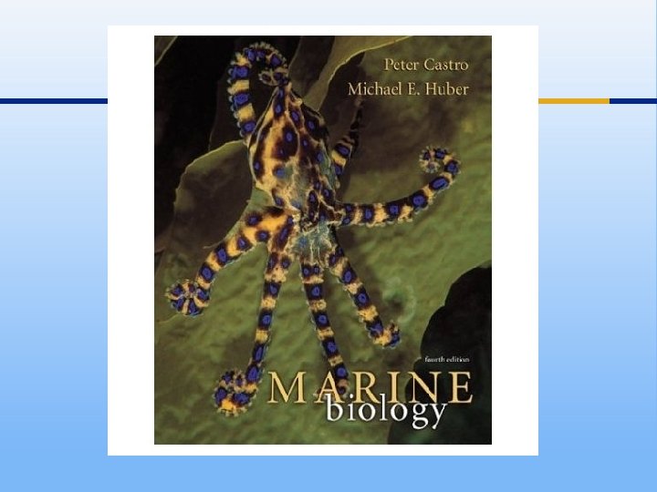 BIOLOGI LAUT LINGKUNGAN LAUT Marine biology is the