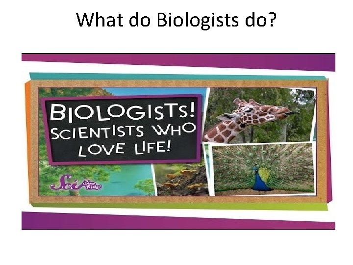Chapter 1 The Science of Biology Chapter 1