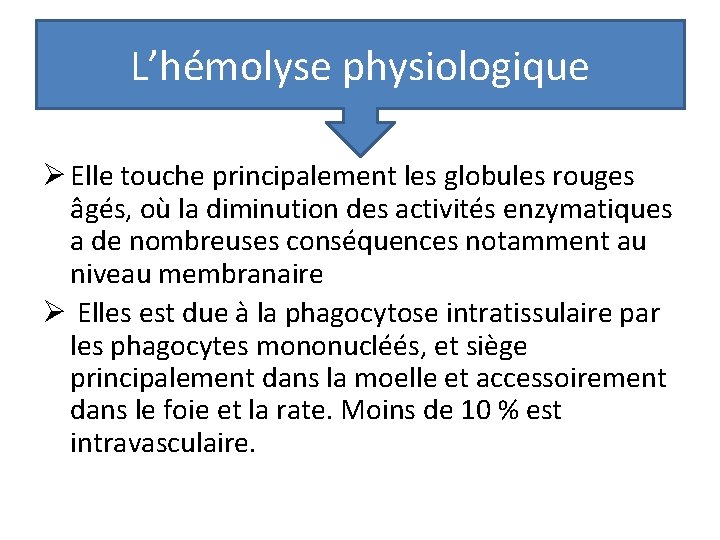 QUE FAIRE DEVANT UNE ANEMIE DEFINITION Anmie du